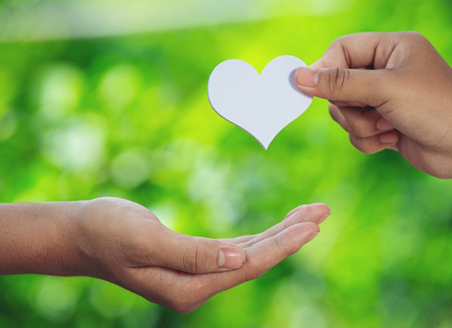 Vines Support Services Empowering Young People - Vines Support Services Ltd